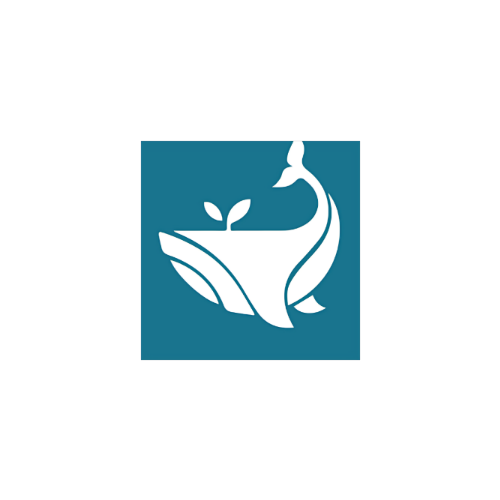 Paydibs : Best Payment Gateway in Malaysia | BNPL Supported